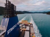 Bluebridge Ferry Review: All You Need to Know About the Cook Strait Trip