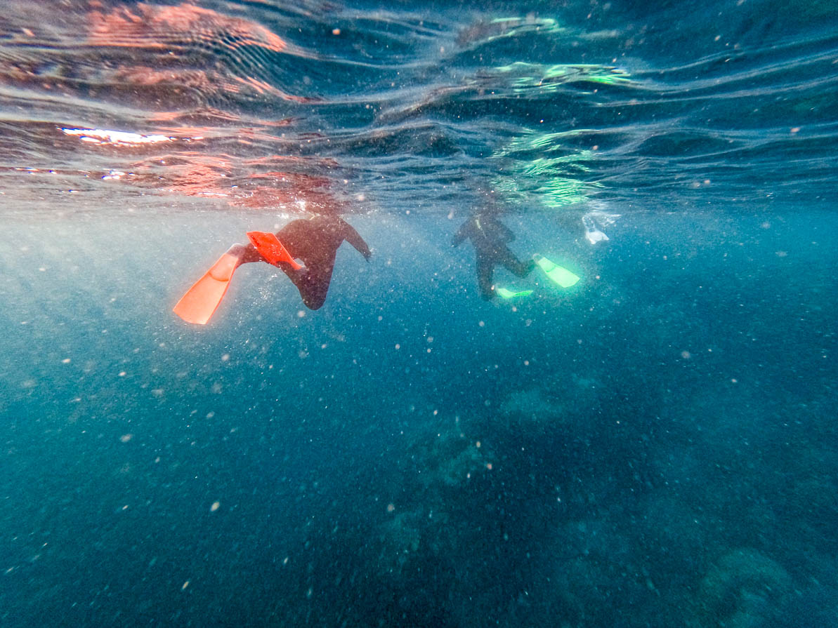 Great Barrier Reef underwater hotel: Reefsleep & Reefsuites review