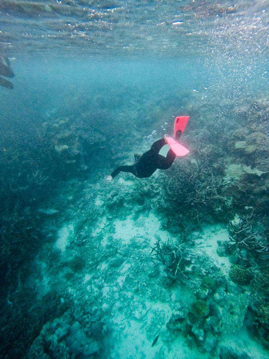 Great Barrier Reef underwater hotel: Reefsleep & Reefsuites review