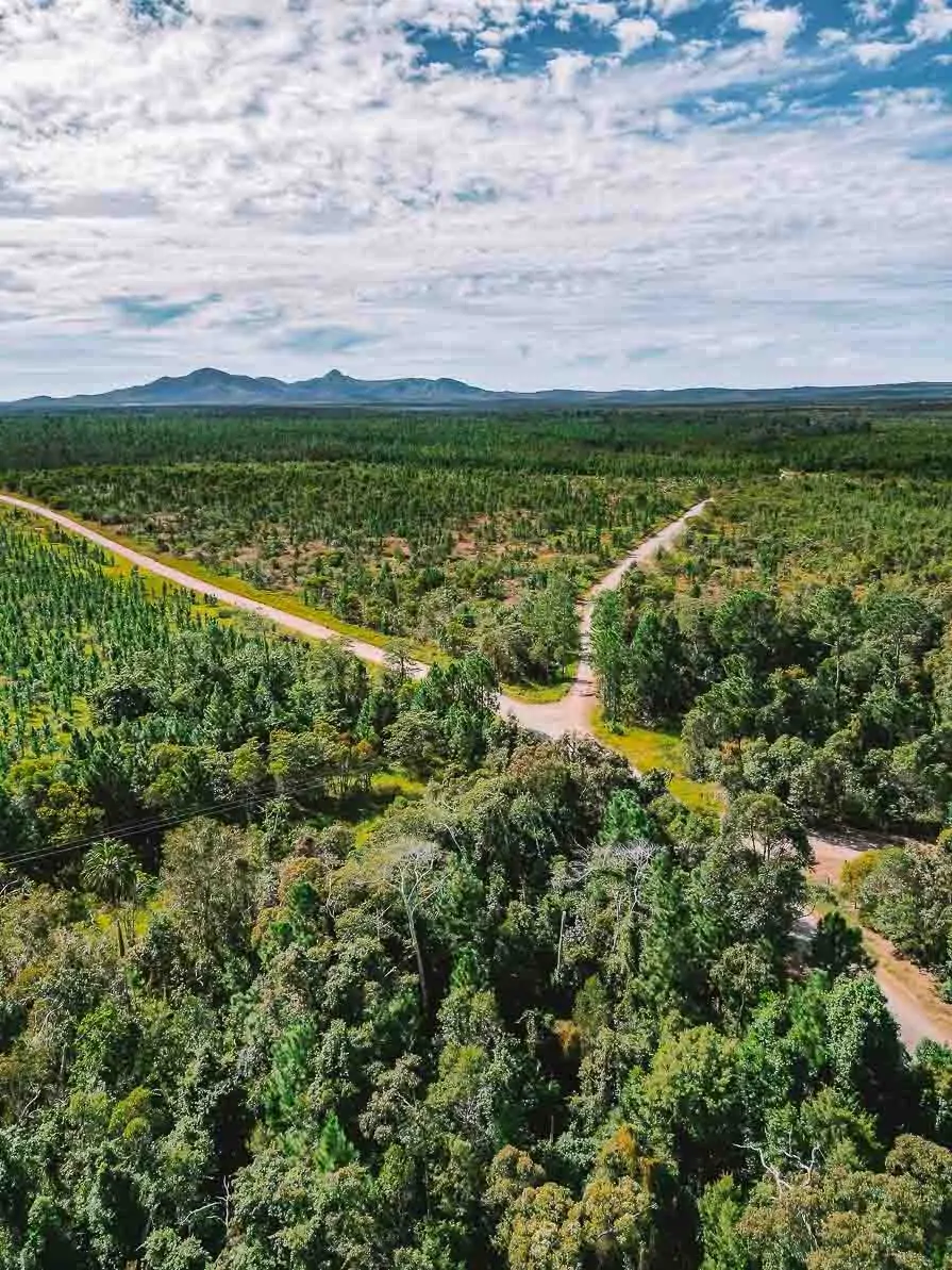 5 reasons to add Byfield to your Queensland bucket list – Finding Alexx