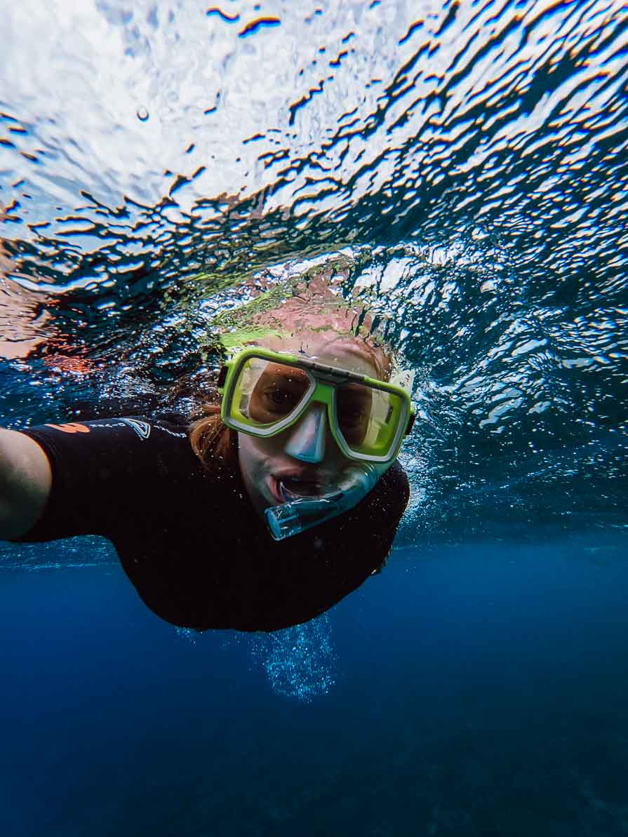 Lady Elliot Island day trip review – Finding Alexx travel blog