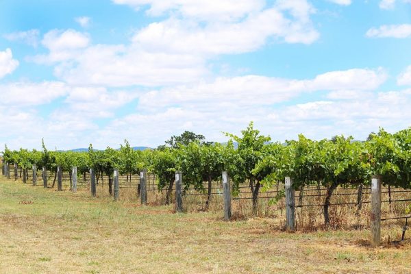 The perfect Sydney to Byron Bay road trip itinerary – Finding Alexx