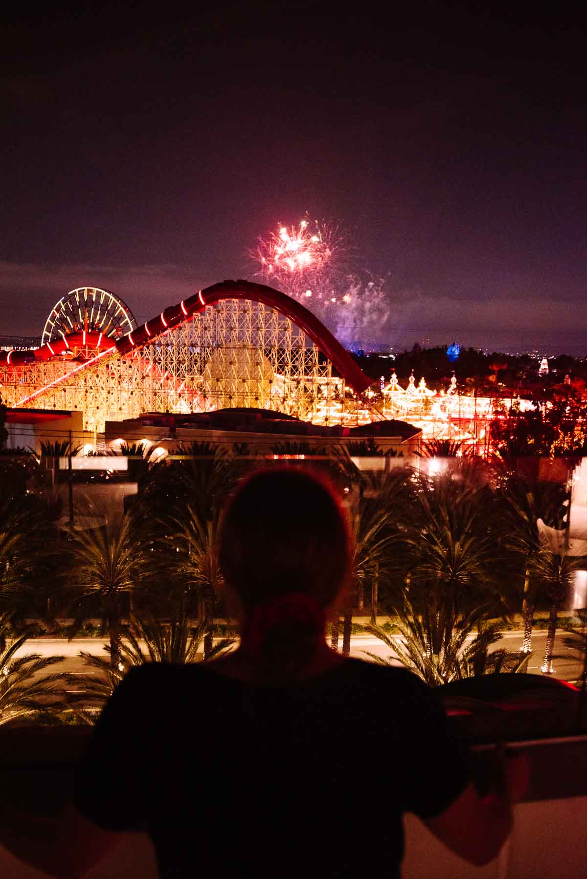 The perfect one week Anaheim itinerary – Finding Alexx travel blog