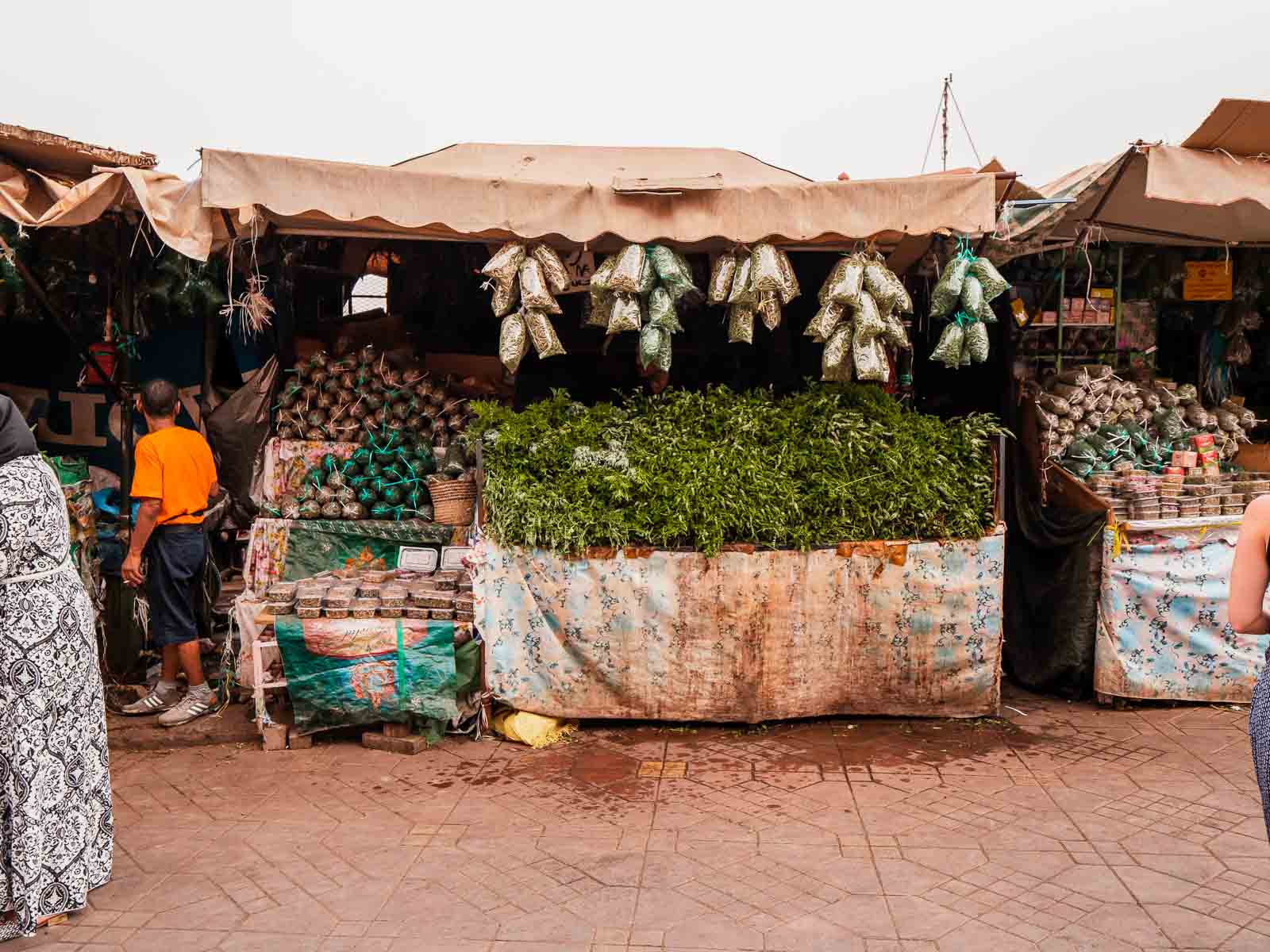 G Adventures Morocco review: Deserts & Beaches tour (2025)