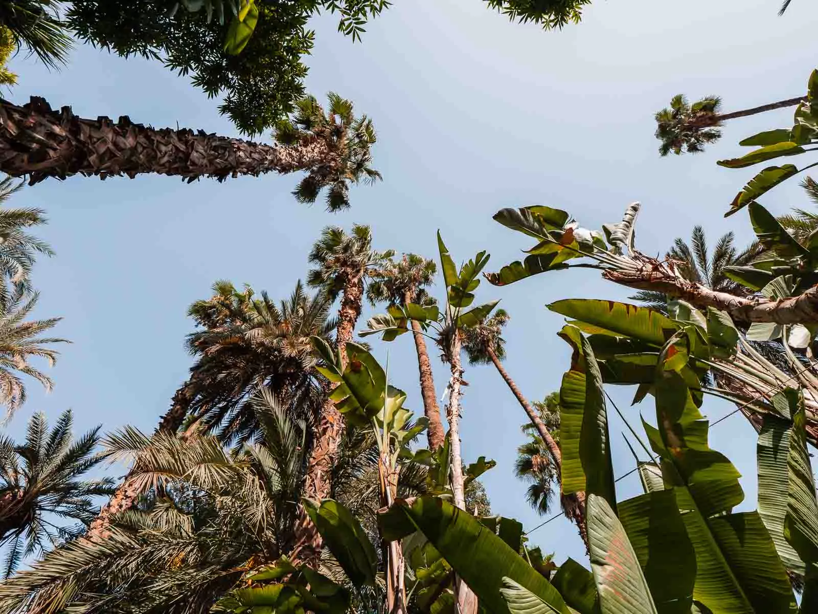 Two days in Marrakech: The perfect 2 day Marrakech itinerary | Finding ...