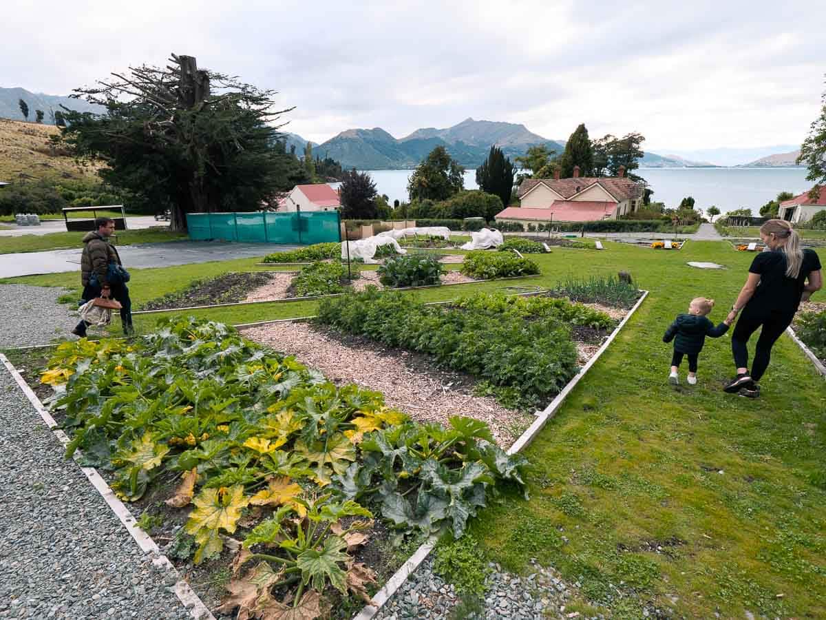 Walter Peak Farm & the TSS Earnslaw: A helpful guide (2025)