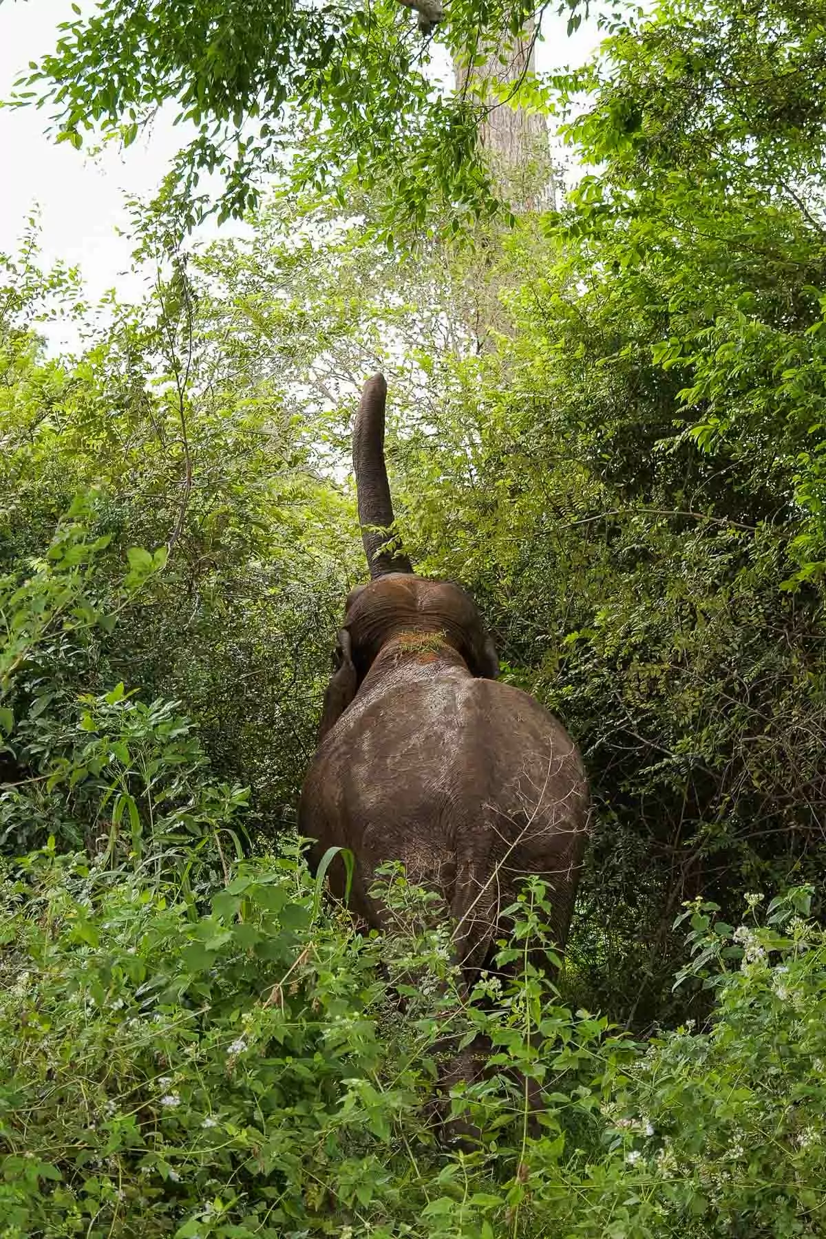 One Life Adventures Sri Lanka An Honest Tour Review
