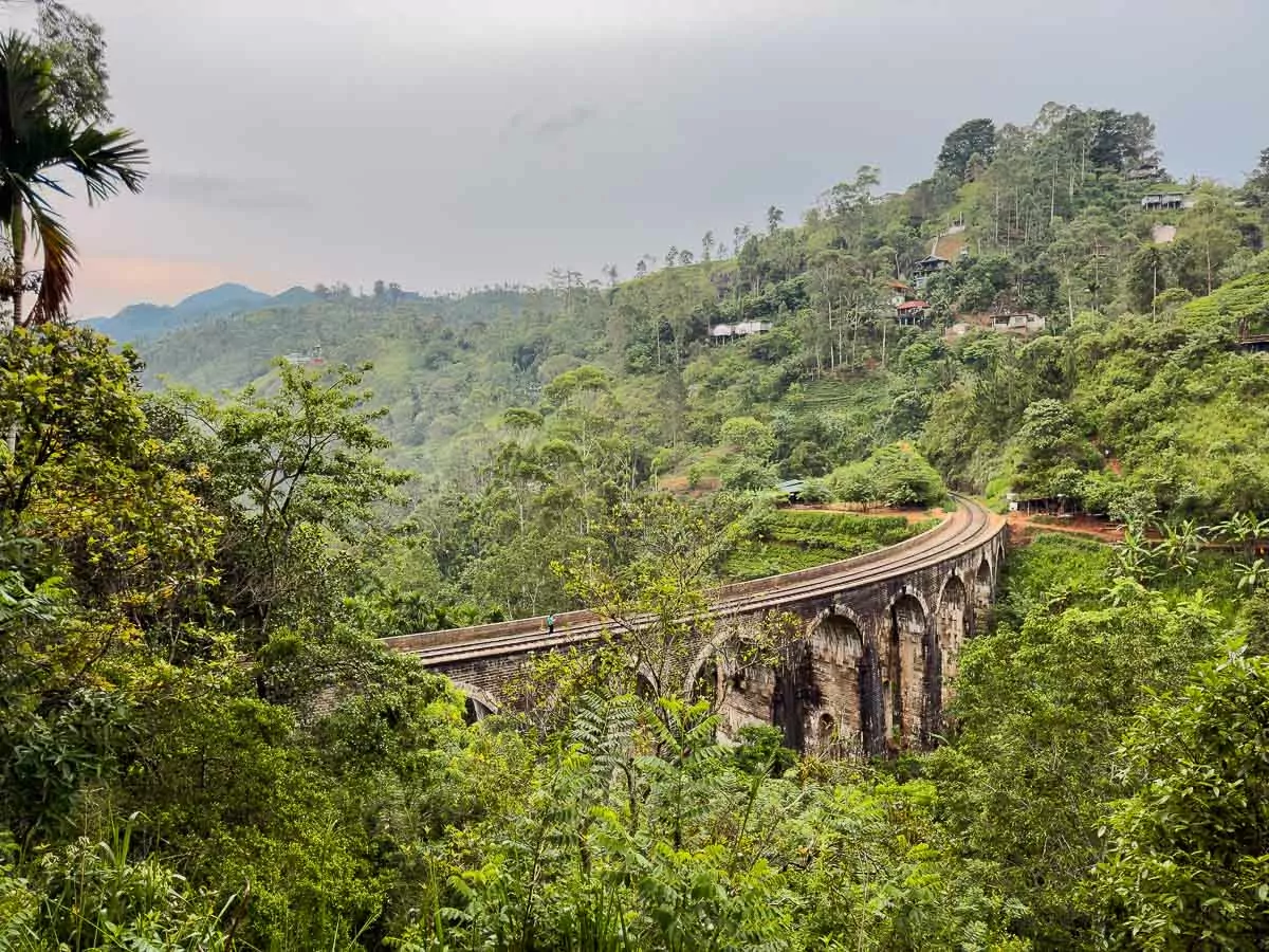 One Life Adventures Sri Lanka An Honest Tour Review