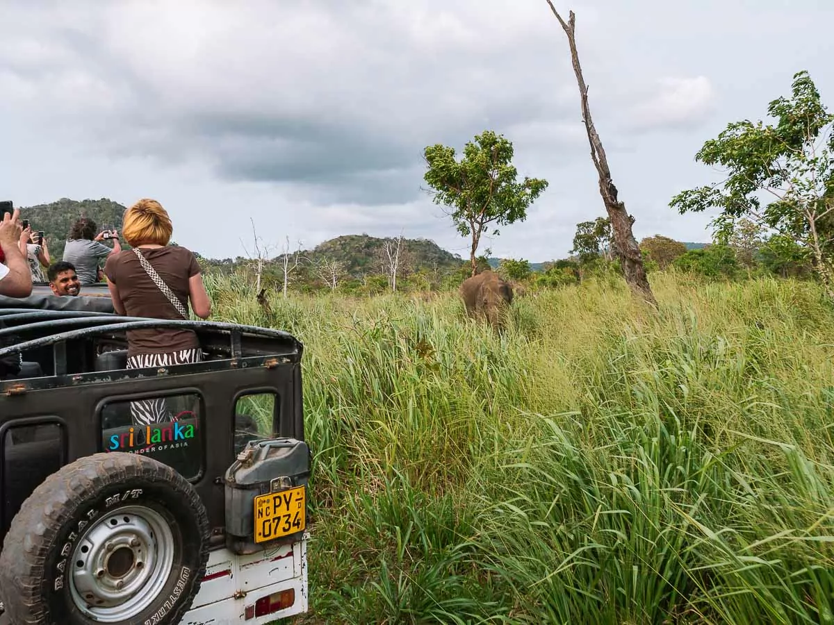 One Life Adventures Sri Lanka: An honest tour review