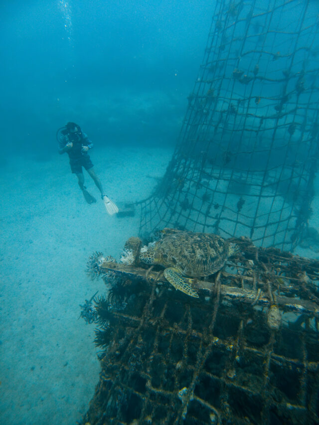 Seaventures Dive Rig in Borneo: Honest review (2024)