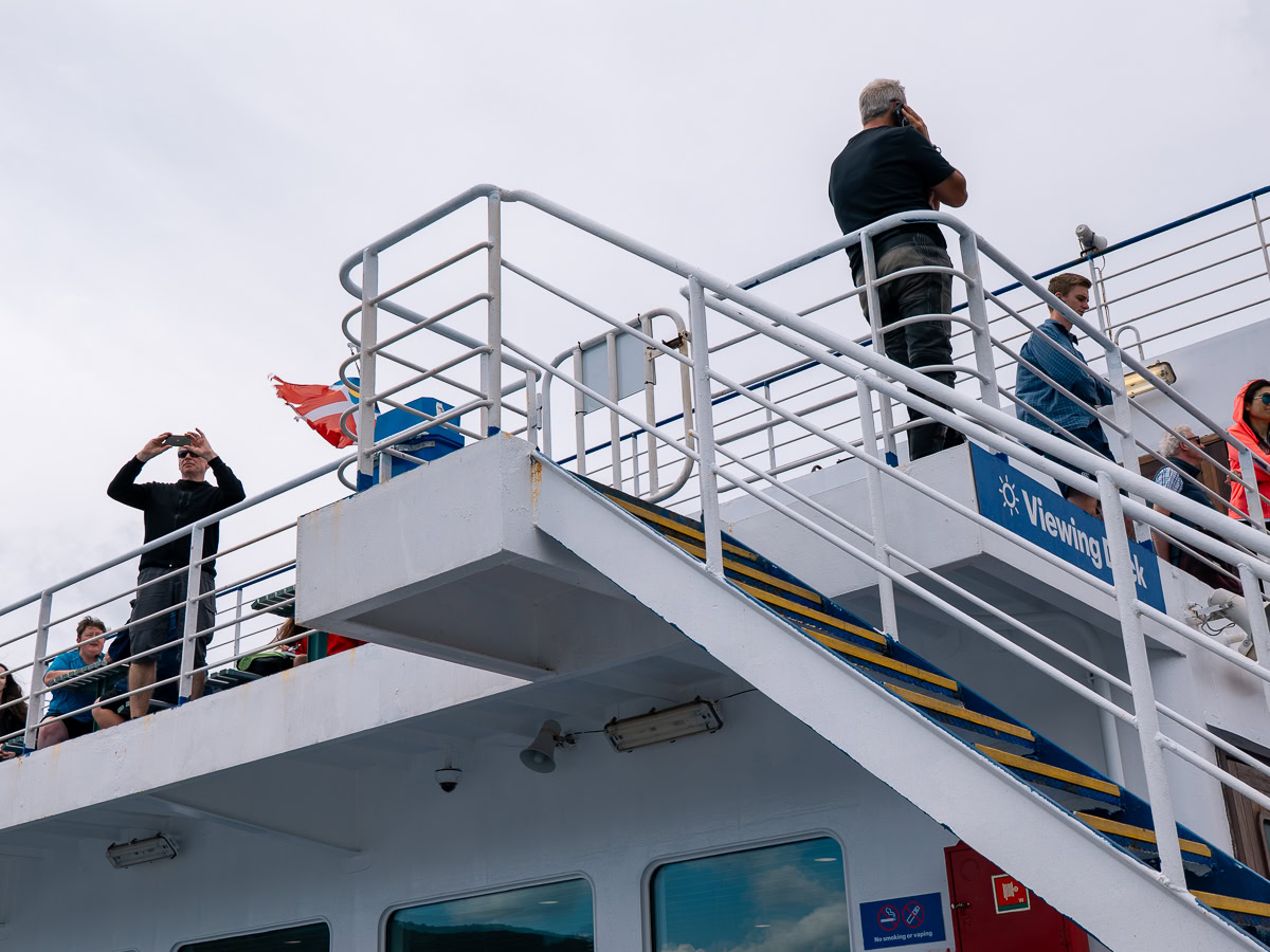 Bluebridge Ferry Review: All You Need to Know About the Cook Strait Trip